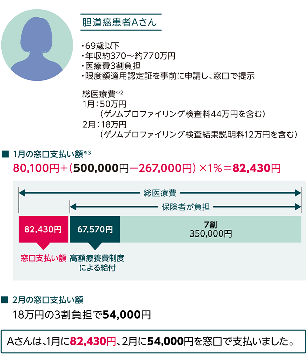 検査費用と高額療養費制度 | がんゲノム医療 | リトゴビ | 大鵬薬品工業 -医療関係者向け情報-